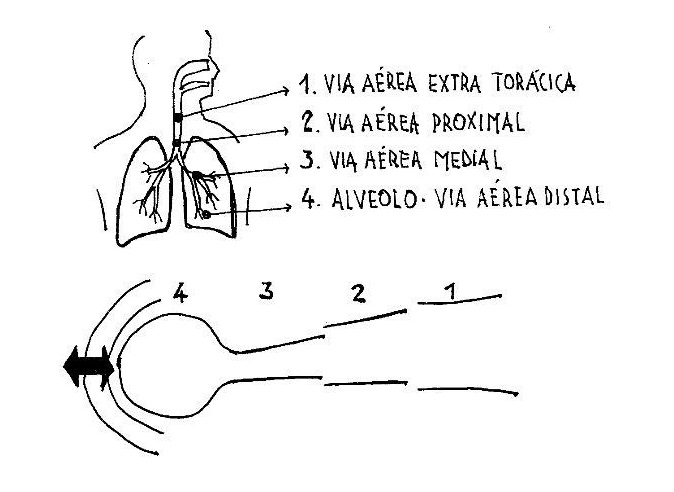 Un sistema perfecto que da vida a otros sistemas