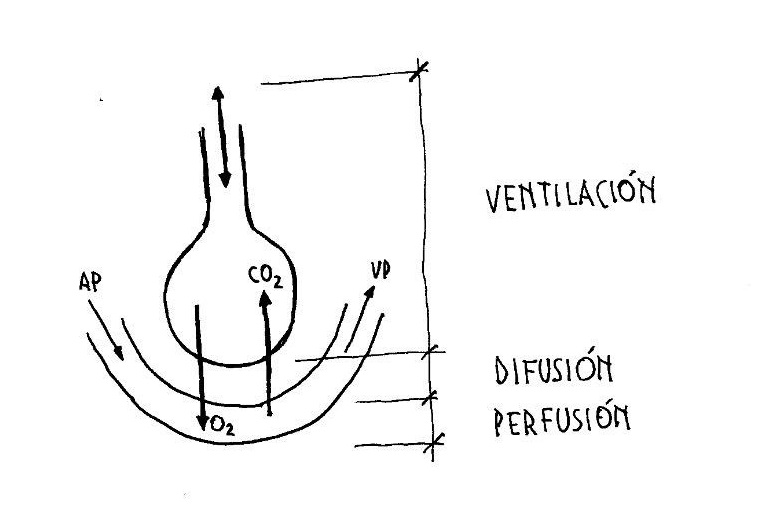 Un sistema perfecto que da vida a otros sistemas